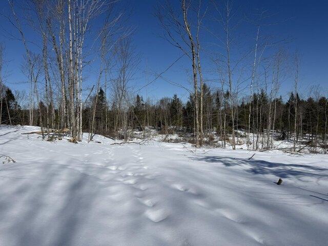 land Mercer ME DLS102218620