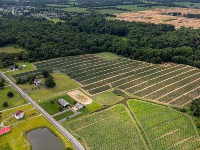 land Mickleton NJ DLS102315262