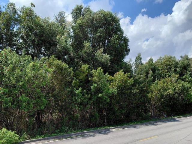land Miami FL ES101012207