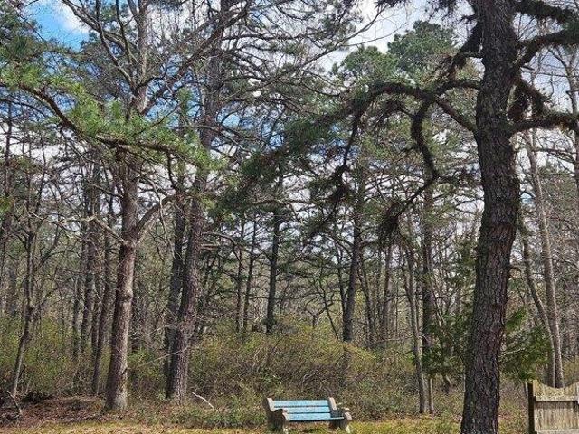 land Milmay NJ DS102254777