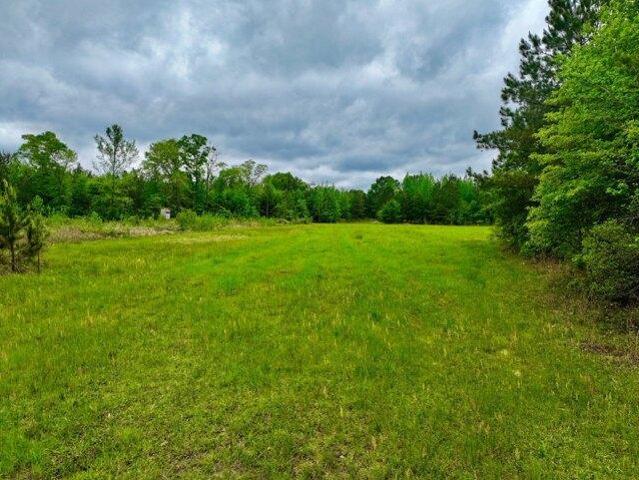 land Millry AL DS92639509