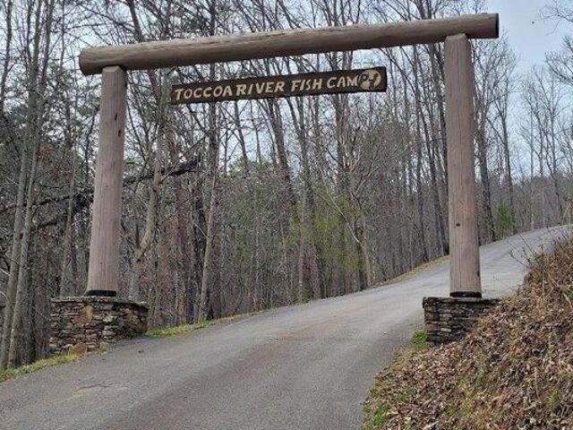 land Mineral Bluff GA DLS88247548