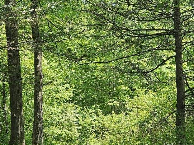 land Monroe CT DS102775340