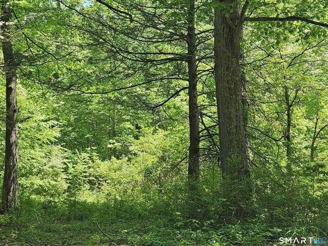 land Monroe CT ES103160159