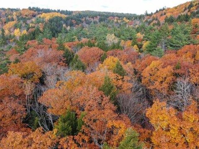 land Montville ME DS102726974