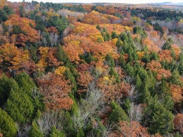 land Montville ME ES103037380