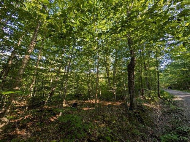 land Montgomery VT DS102592227