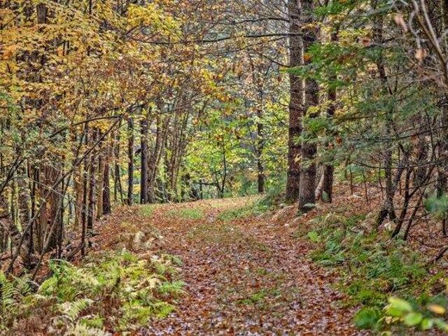 land Montpelier VT DLS102584061