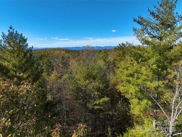 land Morganton NC DS96049962