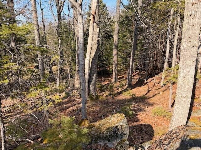 land Mount Desert ME DS102315783