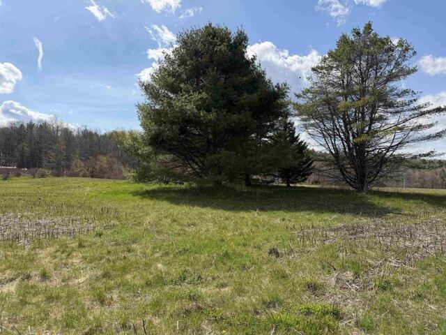 land Mount Holly VT DS102214985