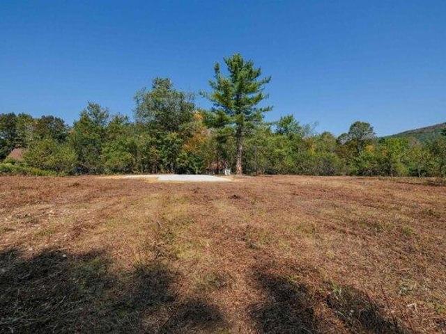 land Mount Holly VT DS102215841