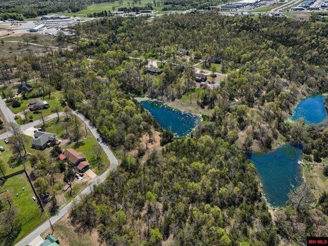 land Mountain Home AR DLS88247360