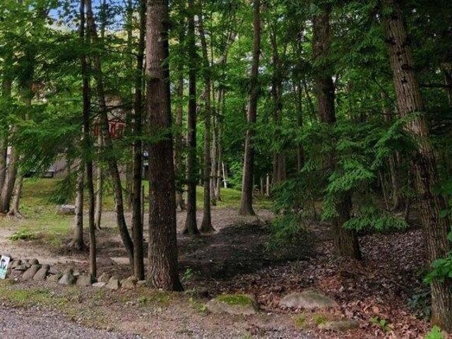 land Moultonborough NH DS104407642