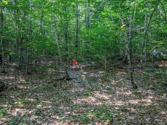 land Moultonborough NH DS103849454