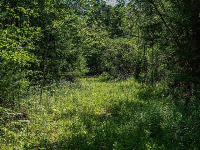 land Moultonborough NH ES104852682