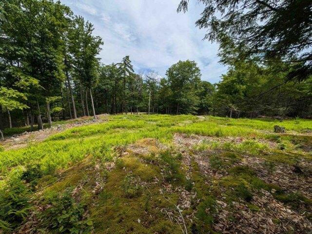 land Moultonborough NH ES105079578