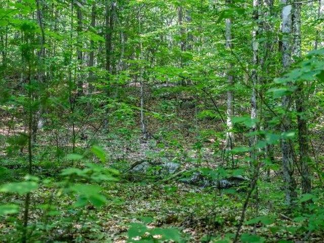 land Moultonborough NH ES105117091