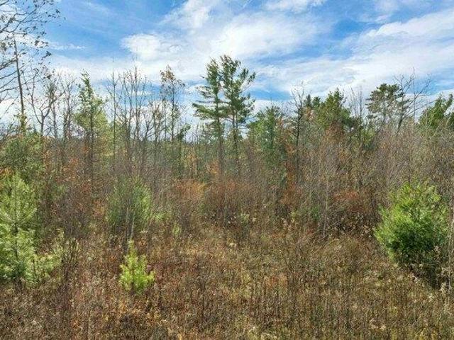 land Moultonborough NH ES103969982