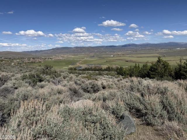 land NV NV DLS101108523