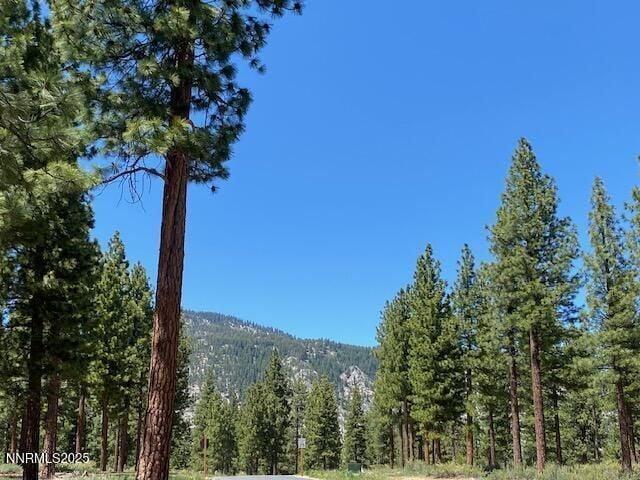 land NV NV DLS101340649
