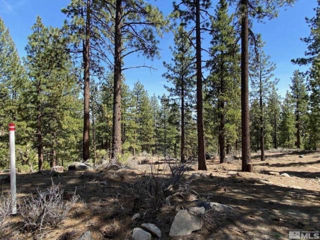 land NV NV DLS101340675