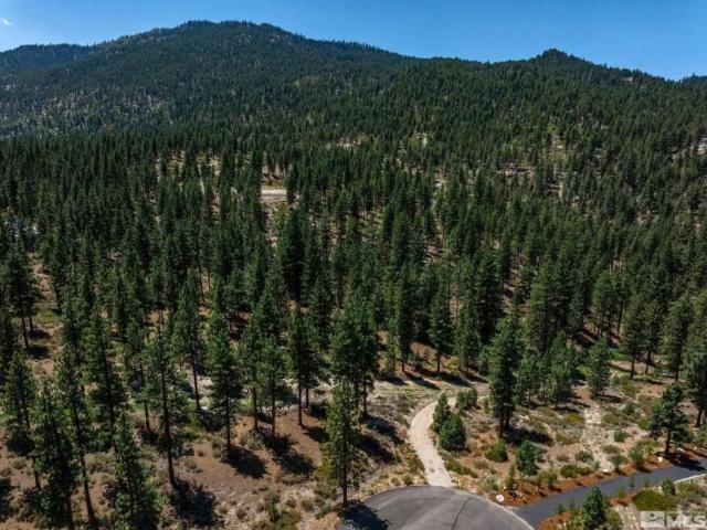 land NV NV DLS101340607