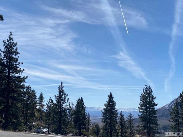 land NV NV DLS101340637