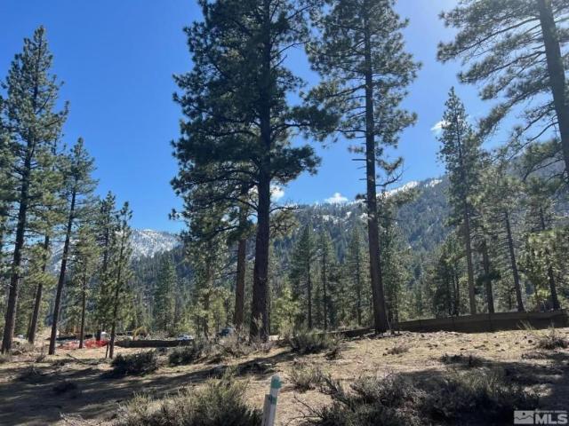 land NV NV DLS101340747