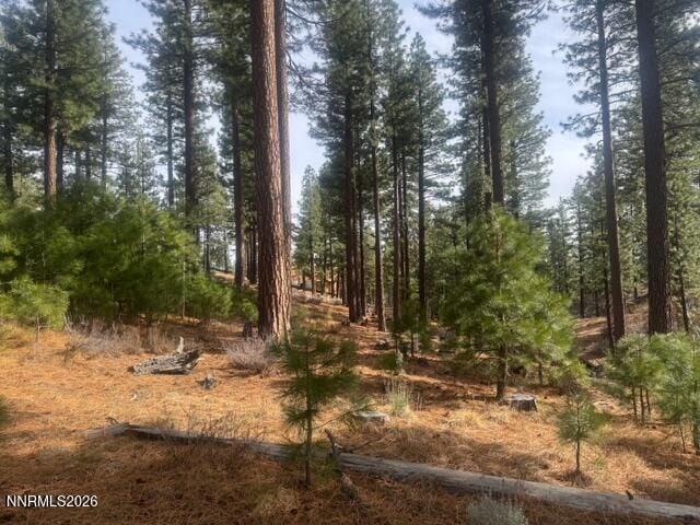 land NV NV DLS101340758