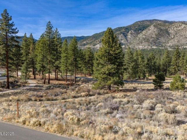 land NV NV DLS101340793