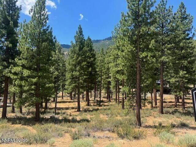 land NV NV DLS101340881
