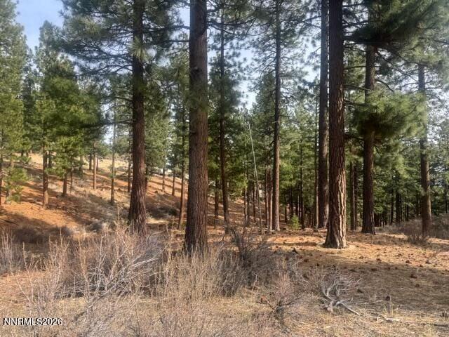 land NV NV DLS101340808