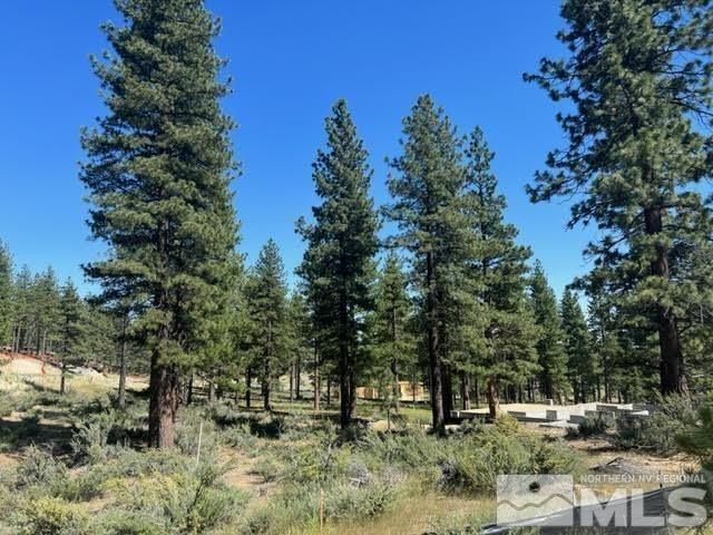 land NV NV DLS101340935