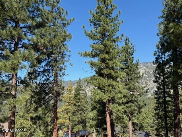 land NV NV DLS101447907