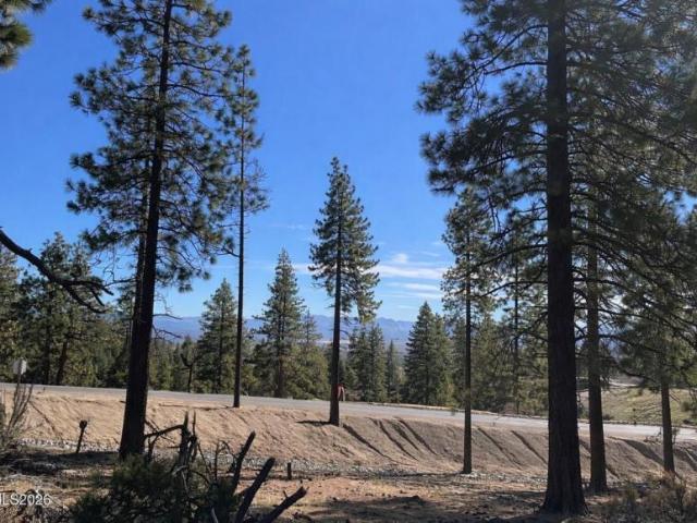 land NV NV DLS101447913