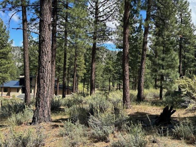 land NV NV DLS101585720
