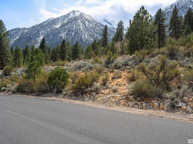 land NV NV DLS101508751