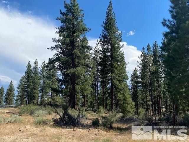 land NV NV DLS101986914