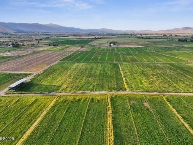 land NV NV DLS98217555