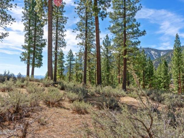 land NV NV DS101726058