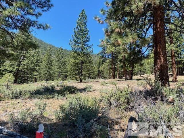 land NV NV DS102019157