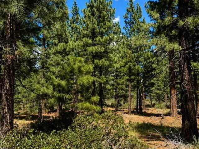 land NV NV DS102811917