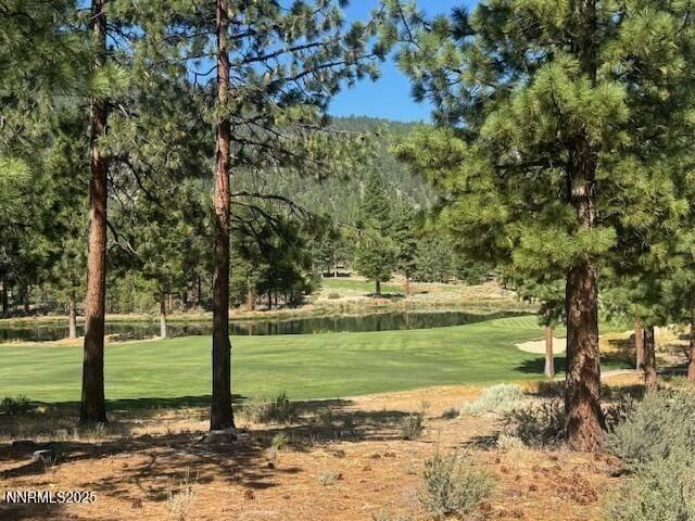 land NV NV DS98217533