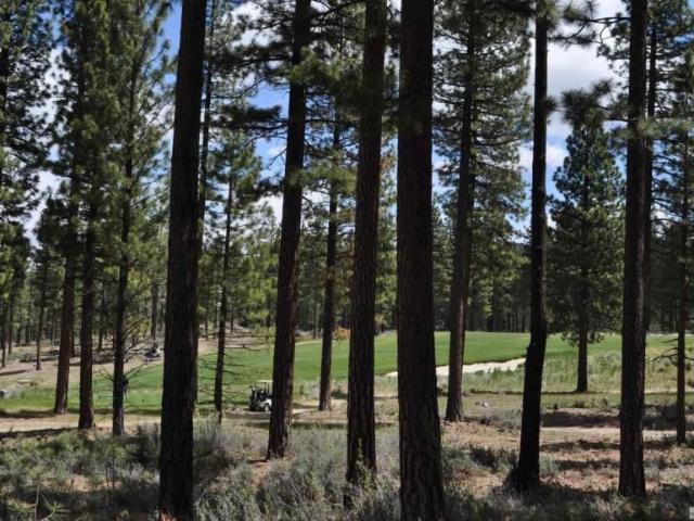 land NV NV DS98217549