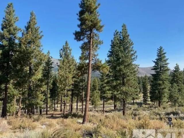 land NV NV ES102770967