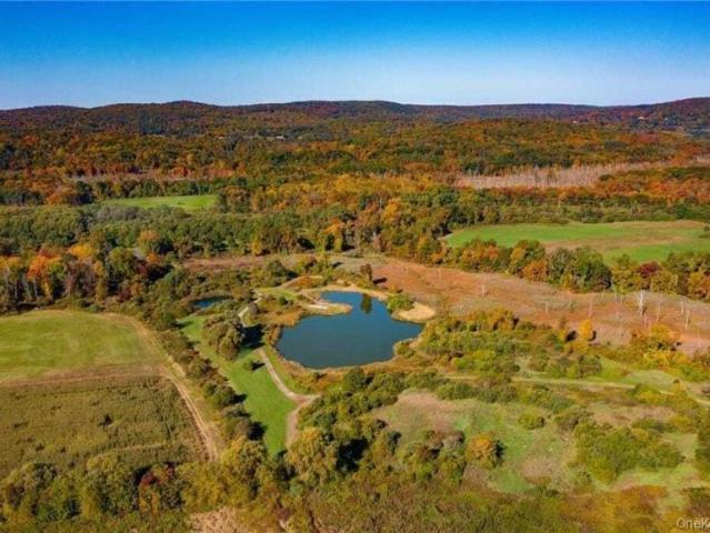 land NY NY DLS102243937