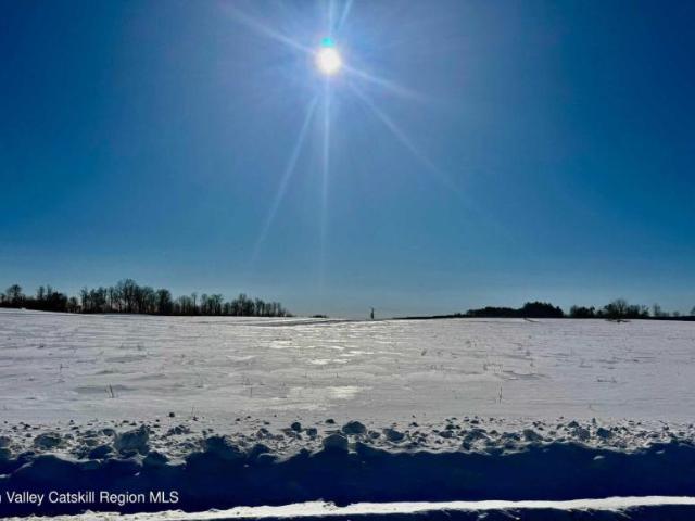 land NY NY DLS102245491