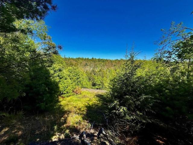 land NY NY DLS102587672