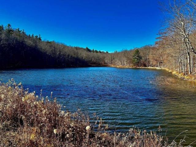 land NY NY DLS95820962